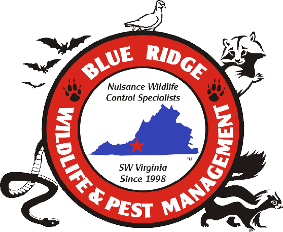 Service Area | Blue Ridge Wildlife & Pest Management