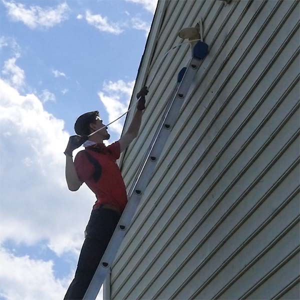 Virginia Wildlife Removal | Blue Ridge Wildlife & Pest Management